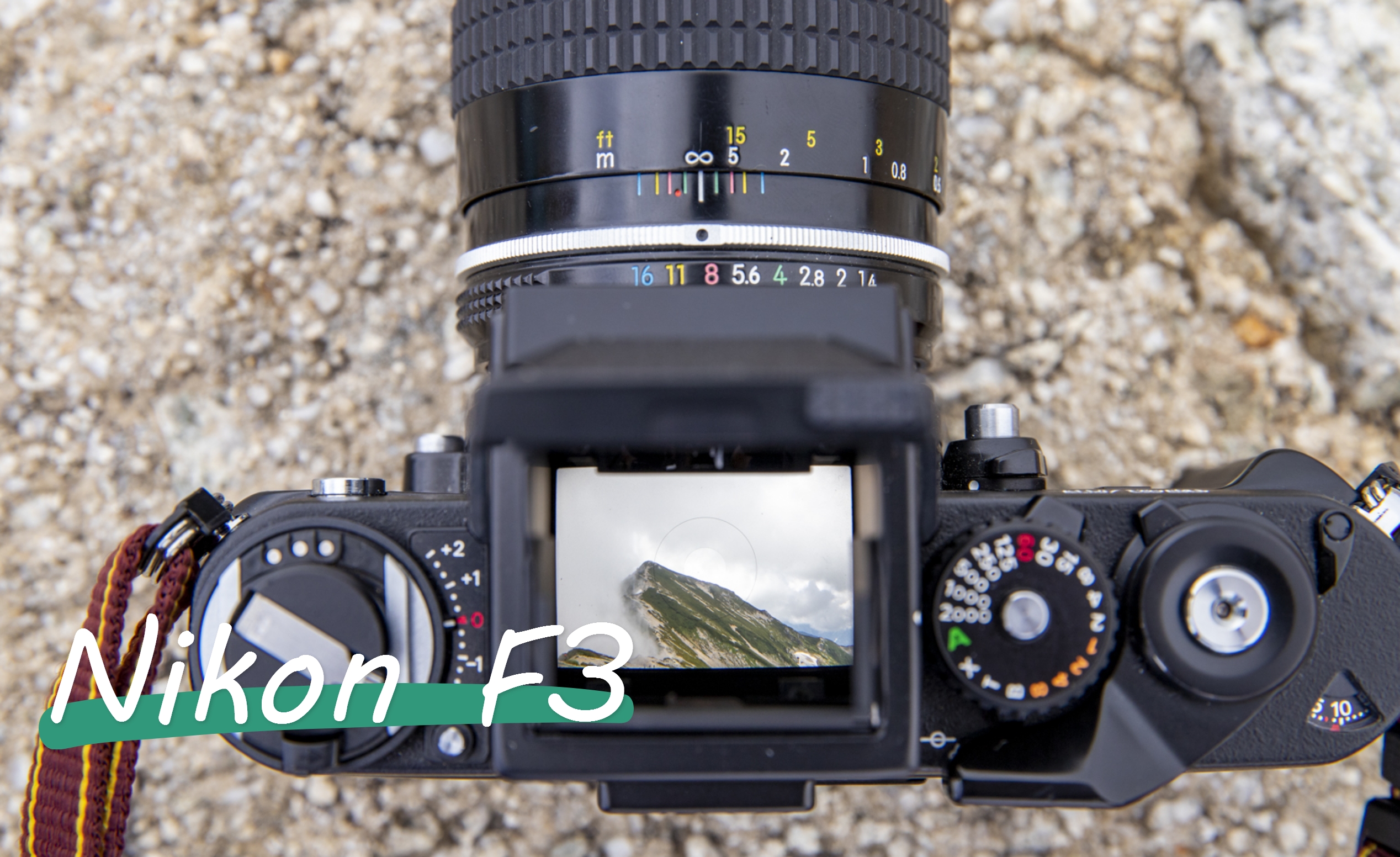 【Nikon F3】所有欲を満たしてくれる最高級フィルムカメラ | Green Nature Note - グリーンネイチャーノート